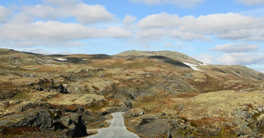 From Island to Town: How Newfoundland’s Communities Are Weaving a ...